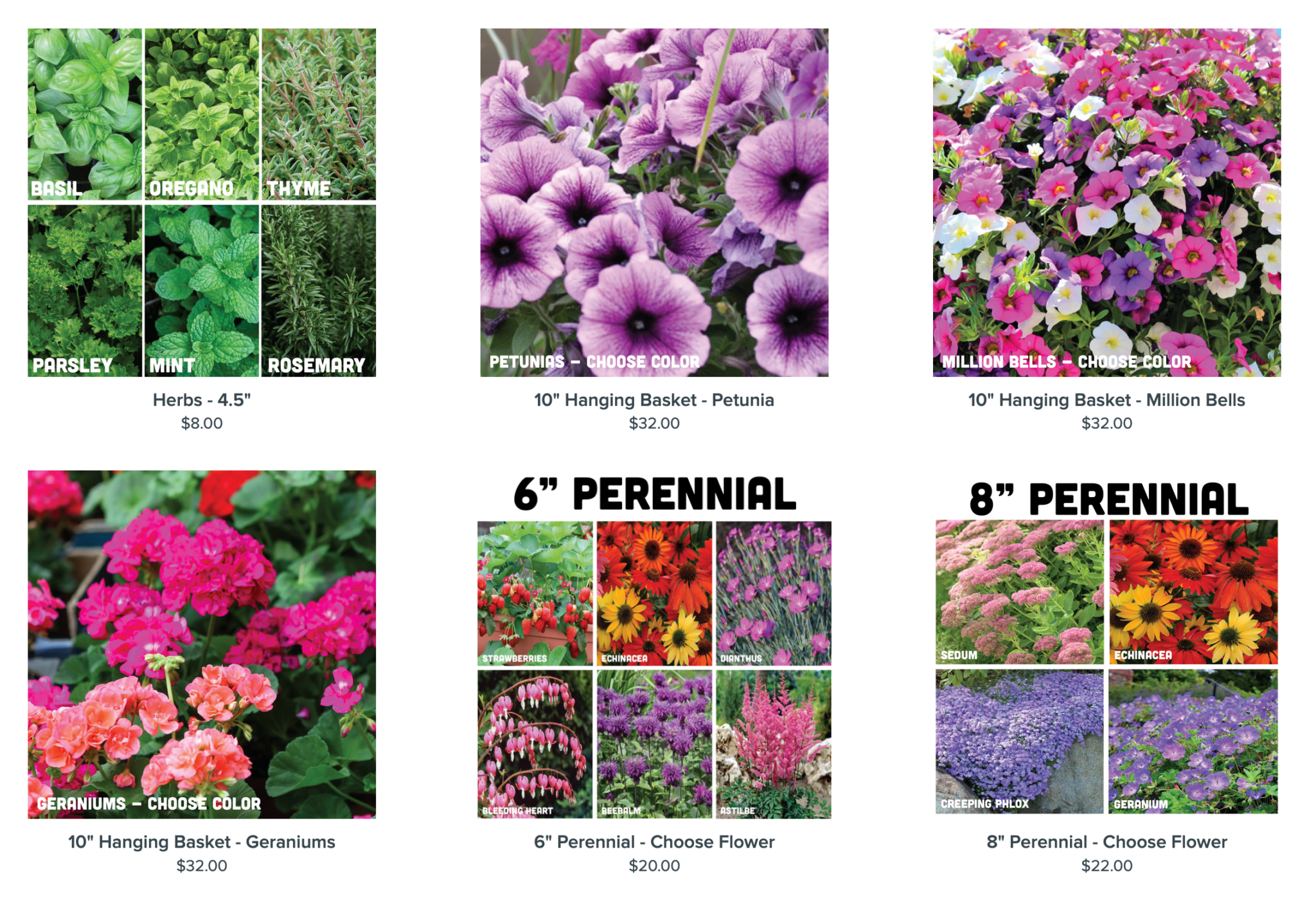 Spring Flower Fundraiser